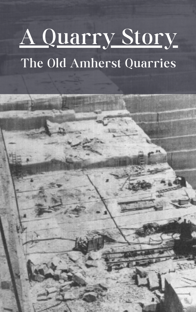 Welcome to Elyria Public Library System | Elyria Public Library System